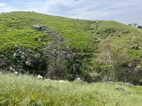 10 Best Trails and Hikes in Riverside | AllTrails