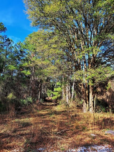 Best Hikes and Trails in Potts Preserve | AllTrails