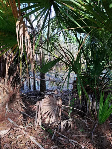 Best Hikes and Trails in Potts Preserve | AllTrails