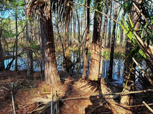 Best Hikes and Trails in Potts Preserve | AllTrails