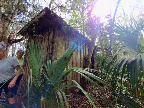 Best Hikes and Trails in Potts Preserve | AllTrails