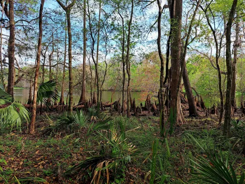 Best Hikes and Trails in Potts Preserve | AllTrails