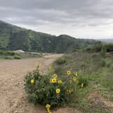 Colby Trail, California - 805 Reviews, Map | AllTrails
