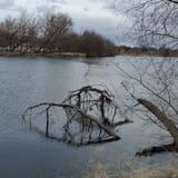 Boise Cascade Lake Loop, Idaho - 303 Reviews, Map | AllTrails