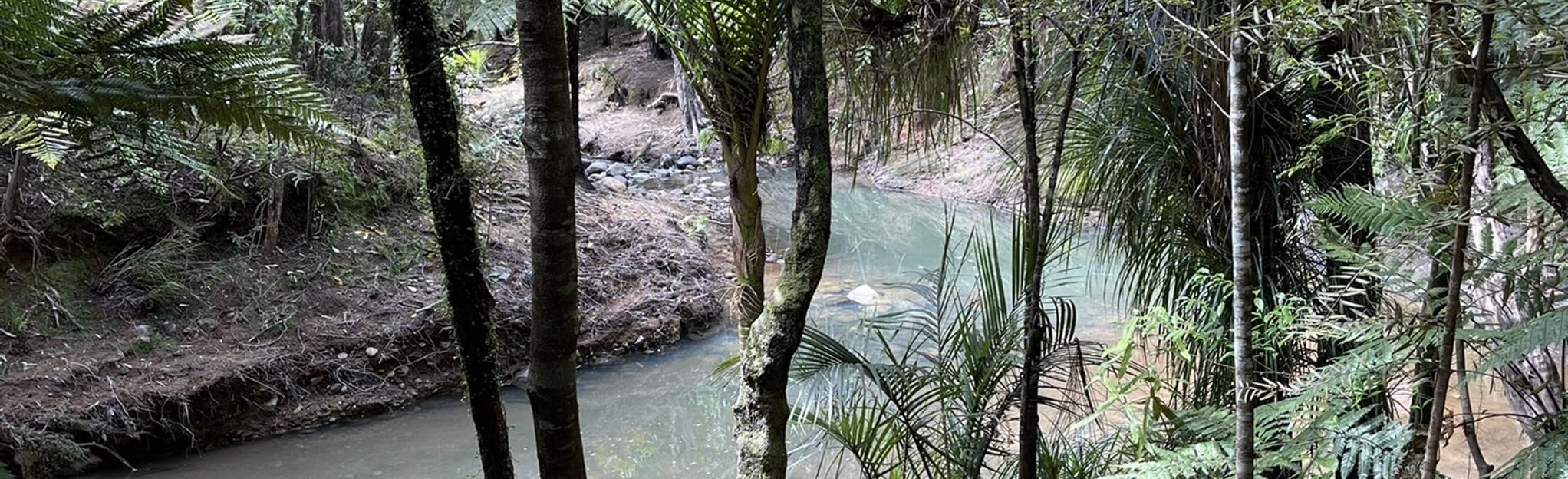 Opanuku Pipeline to Waitakere Tramline [CLOSED], Auckland, New Zealand ...