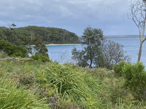10 Best Walking Trails in Booderee National Park | AllTrails