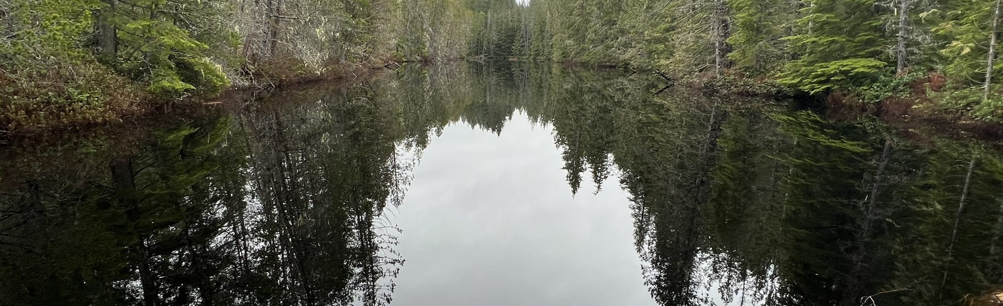 Mud Lake Loop, British Columbia, Canada - 45 Reviews, Map | AllTrails