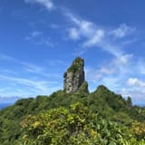 Cross Island Track and The Needle, Rarotonga, Cook Islands - 132 ...