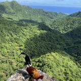 Cross Island Track and The Needle, Rarotonga, Cook Islands - 132 ...