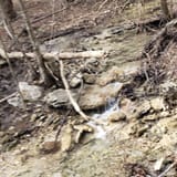 Sac River Trail, Missouri - 455 Reviews, Map | AllTrails