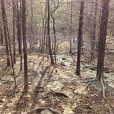 Sac River Trail, Missouri - 455 Reviews, Map | AllTrails