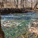 Sac River Trail, Missouri - 455 Reviews, Map | AllTrails