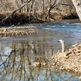 Sac River Trail, Missouri - 455 Reviews, Map | AllTrails