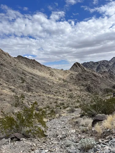 2023 Best Off Road Driving Trails in Yuma | AllTrails