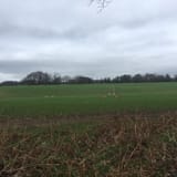 Peover Eye Circular, Cheshire, England - 91 Reviews, Map | AllTrails