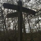 Peover Eye Circular, Cheshire, England - 91 Reviews, Map | AllTrails
