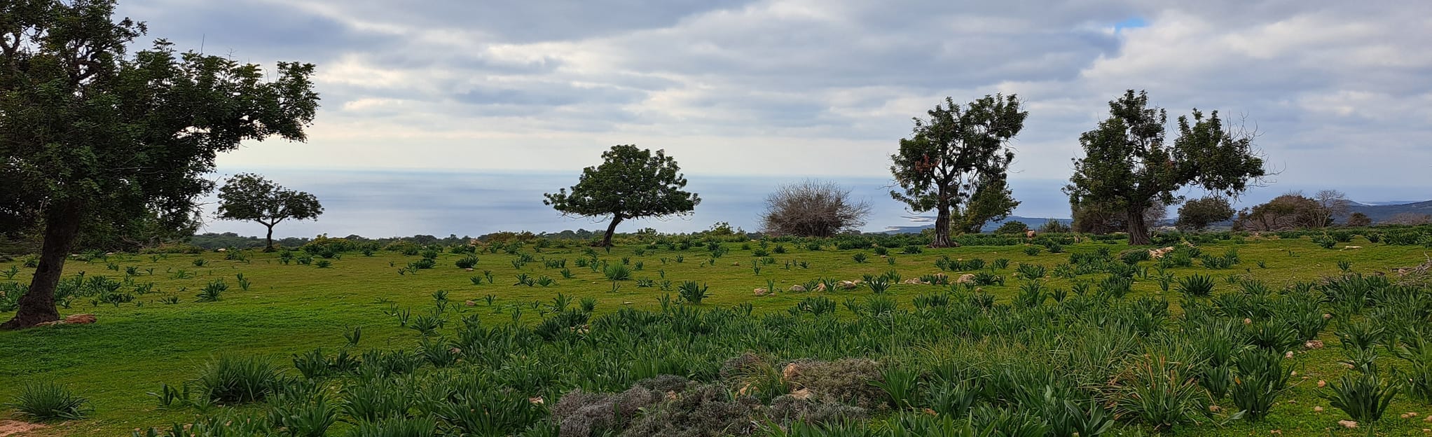 Kathikas Nature Trail, Paphos, Cyprus - 45 Reviews, Map | AllTrails