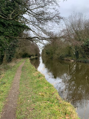 2023 Best trails in Fenns, Whixall, Bettisfield Mosses National Nature ...