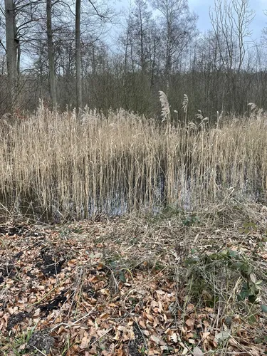 Best Trails, Walks, and Paths in Ullerslev | AllTrails