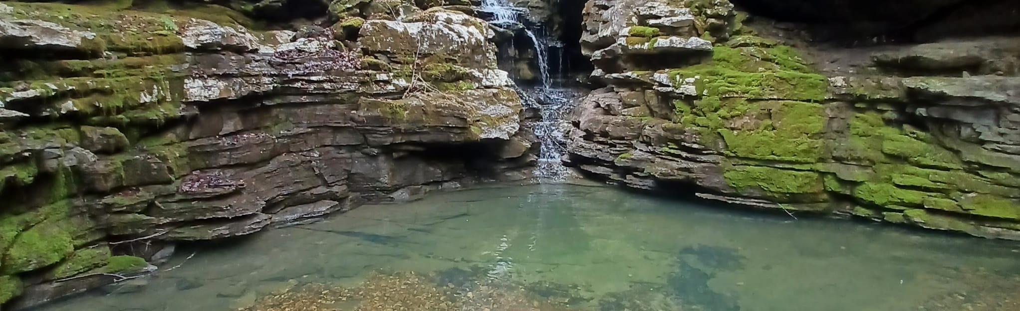 Amber Canyon and Polyfoss Area, Arkansas - 32 Reviews, Map | AllTrails