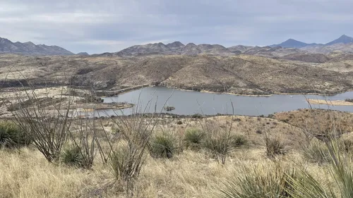 2023 Best Dogs On Leash Trails in Rio Rico | AllTrails