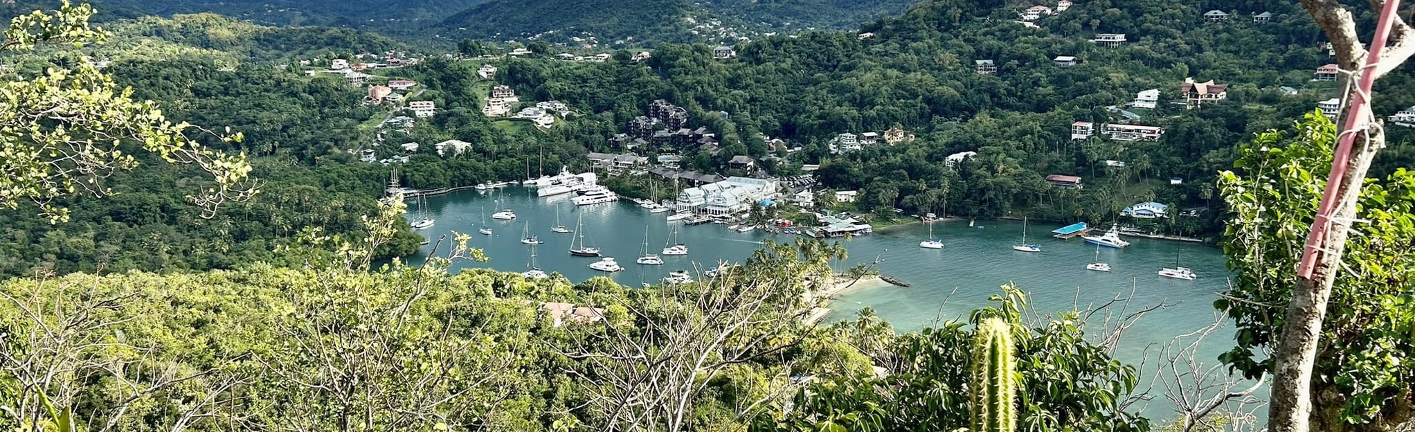 Mango Trail, Castries, Saint Lucia - 19 Reviews, Map | AllTrails