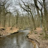Yarrow Valley Country Park Circular, Lancashire, England - 182 Reviews ...