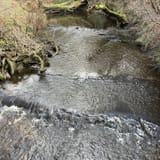 Yarrow Valley Country Park Circular, Lancashire, England - 182 Reviews ...