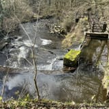 Yarrow Valley Country Park Circular, Lancashire, England - 182 Reviews ...
