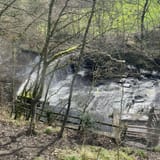 Yarrow Valley Country Park Circular, Lancashire, England - 182 Reviews ...