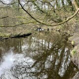 Yarrow Valley Country Park Circular, Lancashire, England - 182 Reviews ...