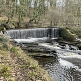 Yarrow Valley Country Park Circular, Lancashire, England - 182 Reviews ...