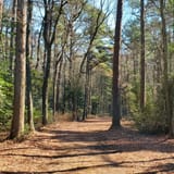 Redden State Forest Loop, Delaware - 368 Reviews, Map | AllTrails