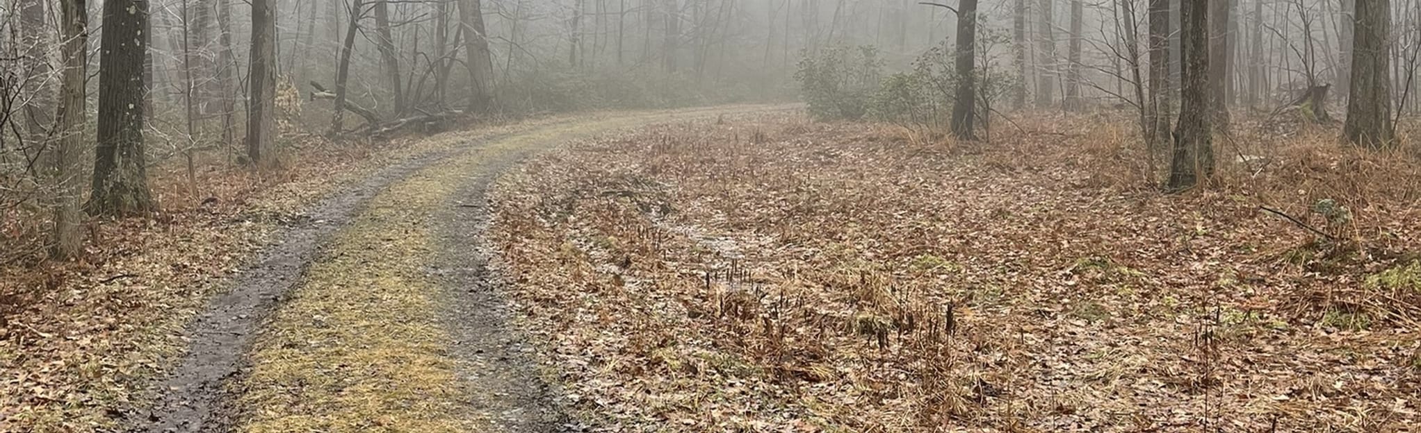 Spruce Run Trail: 211 Reviews, Map - Pennsylvania | AllTrails