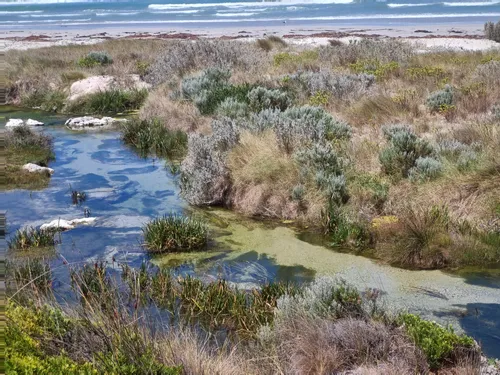 Best Hikes and Trails in Piccaninnie Ponds Conservation Park | AllTrails