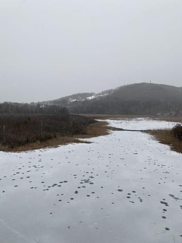 Best Hikes and Trails in Wild Acres Park | AllTrails