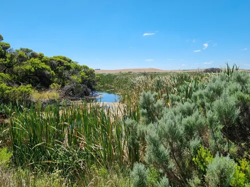 Best Hikes and Trails in Piccaninnie Ponds Conservation Park | AllTrails