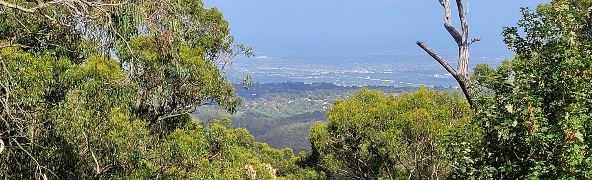 Cleland Conservation Park Loop via Wildlife Park and Wine Shanty Track ...