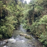 Waitomo Walkway, Waikato, New Zealand - 67 Reviews, Map | AllTrails
