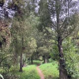 Waitomo Walkway, Waikato, New Zealand - 62 Reviews, Map | AllTrails