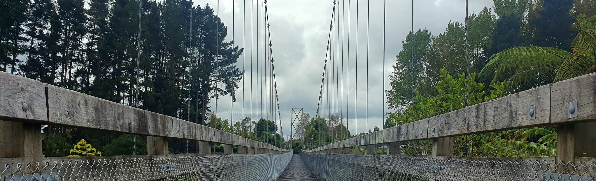 Allan Turner Memorial Walkway Suspension Bridge, Waikato, New Zealand ...