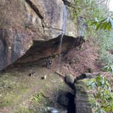 Red Byrd Arch, Kentucky - 238 Reviews, Map | AllTrails