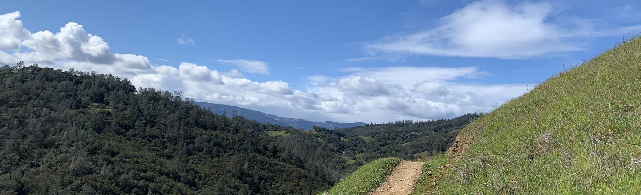 Moore Creek Trail | Map, Guide - California | AllTrails