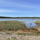 Devilbend Reservoir Loop, Victoria, Australia - 329 Reviews, Map ...