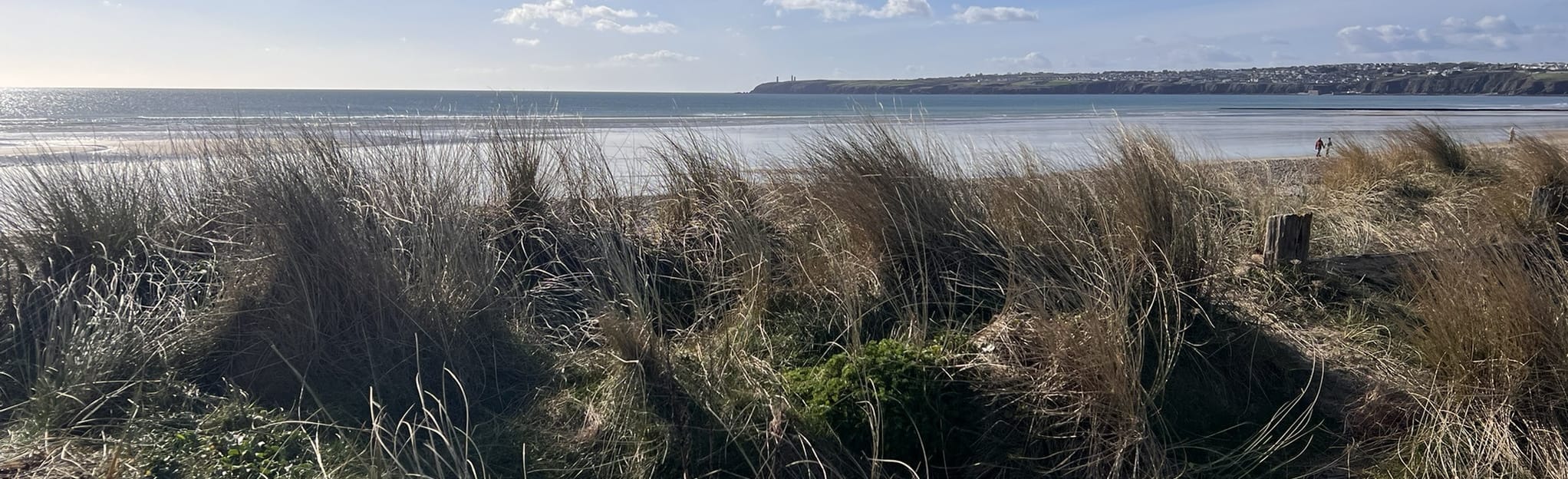 Tramore Strand Loop , County Waterford, Ireland - 133 Reviews, Map ...