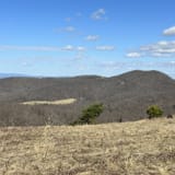 Black Ridge Trail, Virginia - 538 Reviews, Map | AllTrails