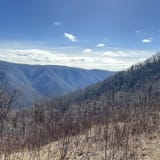 Black Ridge Trail, Virginia - 538 Reviews, Map | AllTrails
