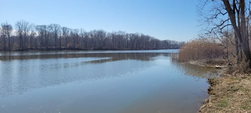 Best Hikes and Trails in Bohemia River State Park | AllTrails