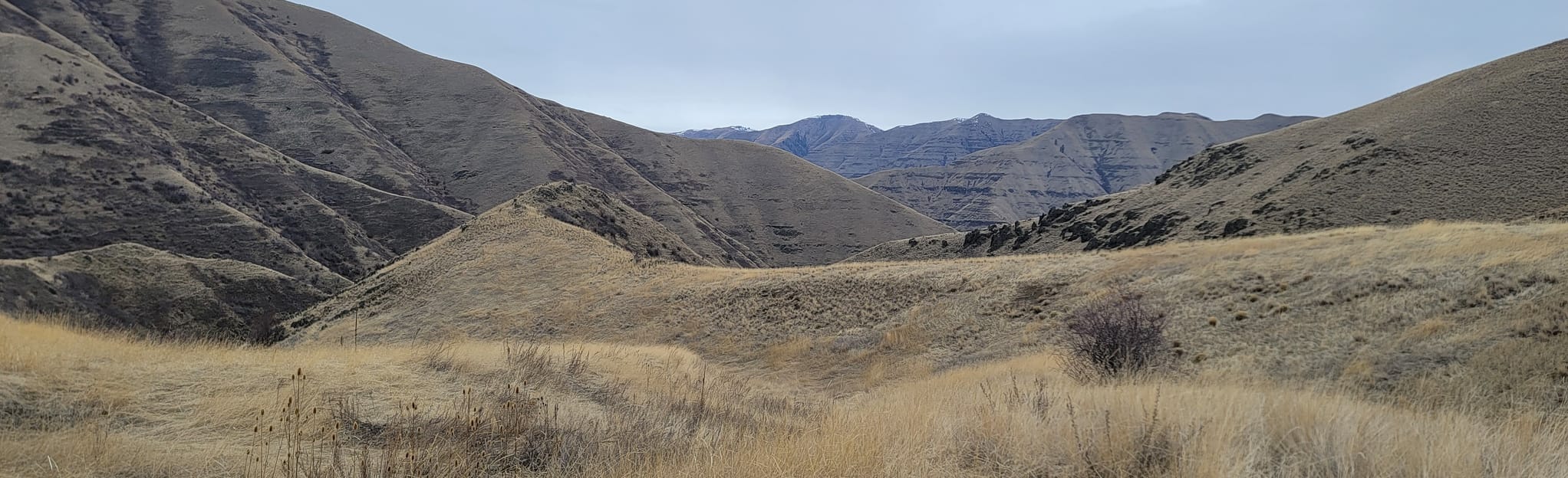 Green Gulch Trail | Map, Guide - Washington | AllTrails