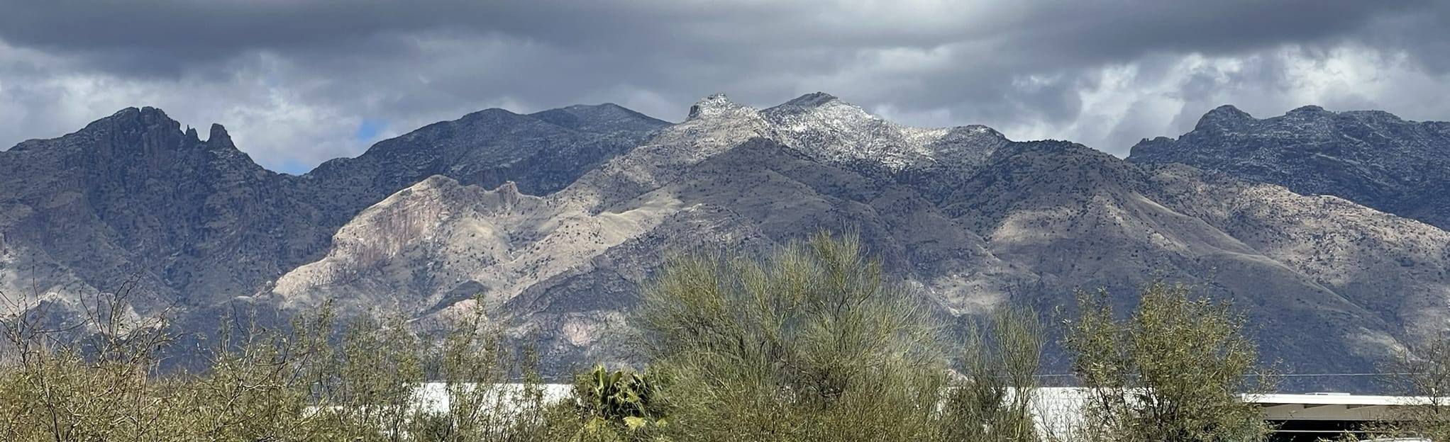 Rillito River Path: N Swan Rd to N Dodge Blvd, Arizona - 391 Reviews ...